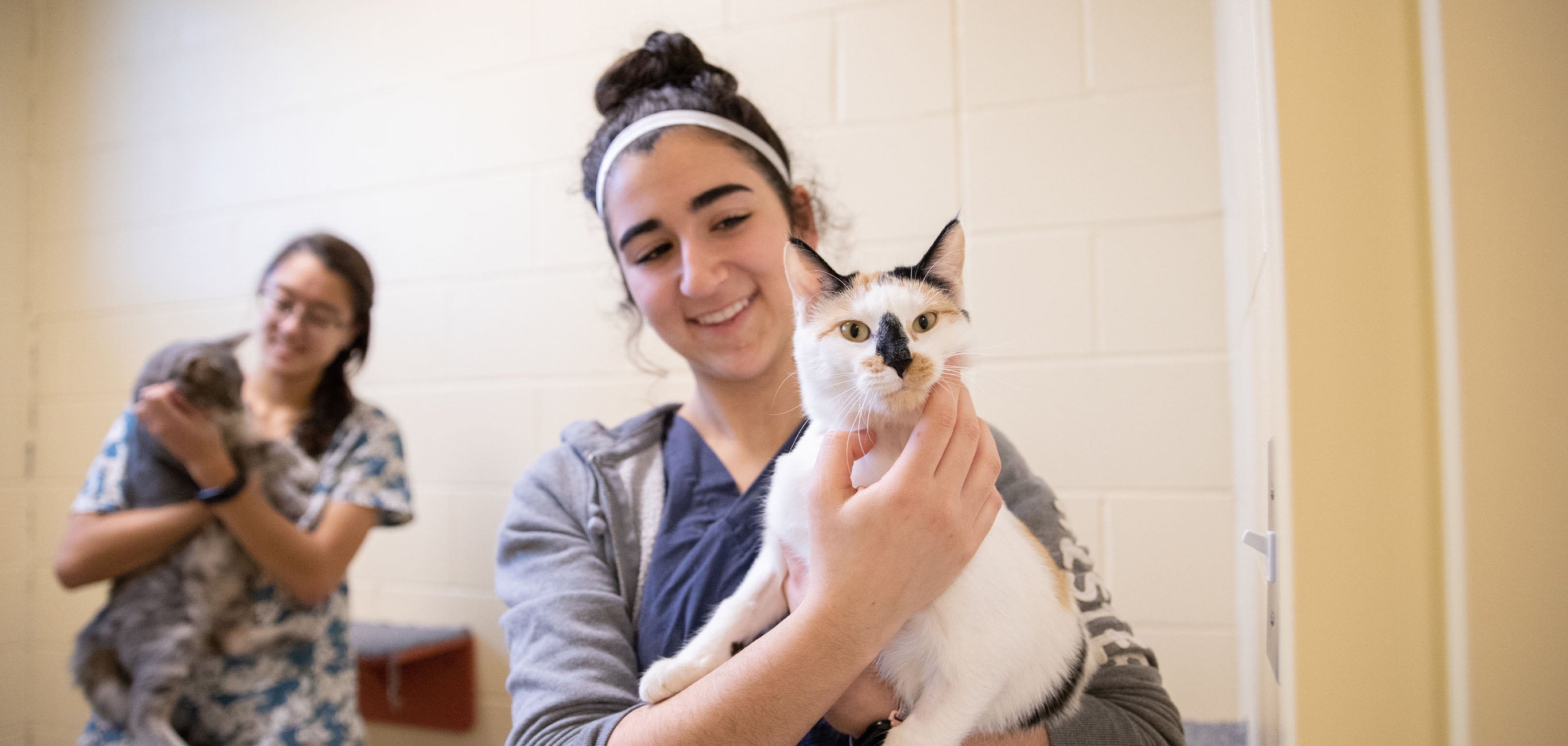 Veterinary Technology Diploma: Thompson Rivers University