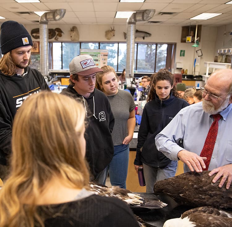 Animal Biology Major, Bachelor of Science: Thompson Rivers University